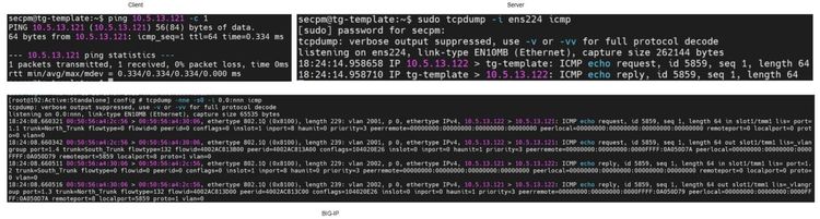BIG-IP L2 Virtual Wire LACP Passthrough Deployment with IXIA Bypass ...