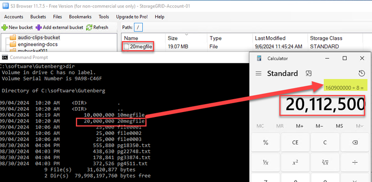 F5 BIG-IP and NetApp StorageGRID - Providing Fast and Scalable S3 API for AI apps | DevCentral